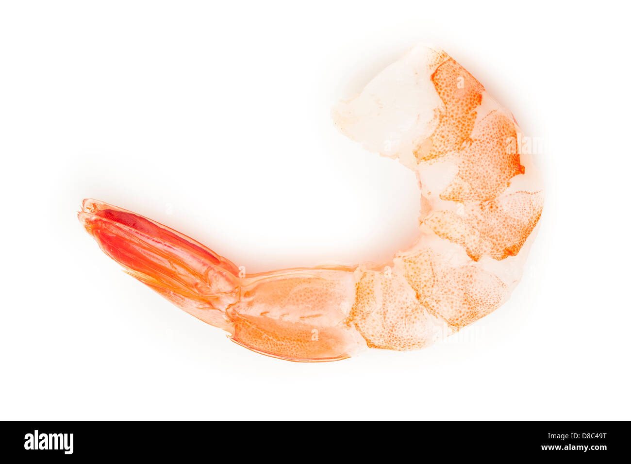 Shrimp With Tail Stock Photos & Shrimp With Tail Stock Images - Alamy