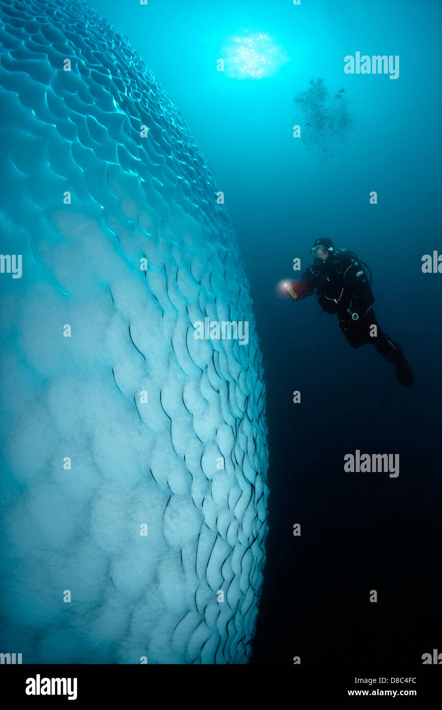 Iceberg underwater hi-res stock photography and images - Alamy