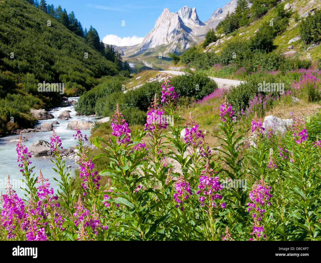 lake combale,val veny,italy Stock Photo - Alamy