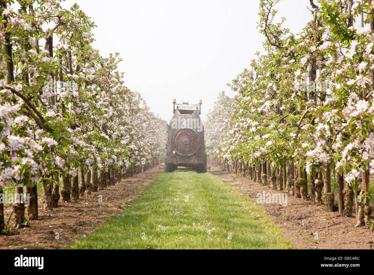 Spraying an apple orchard hi-res stock photography and images - Alamy