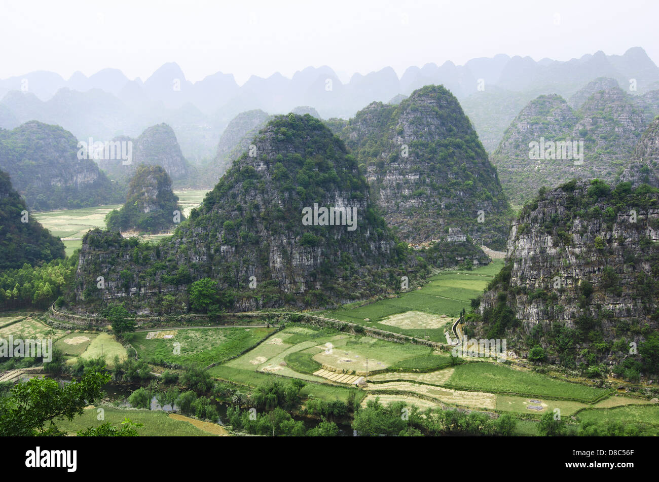 Wanfenglin High Resolution Stock Photography and Images - Alamy