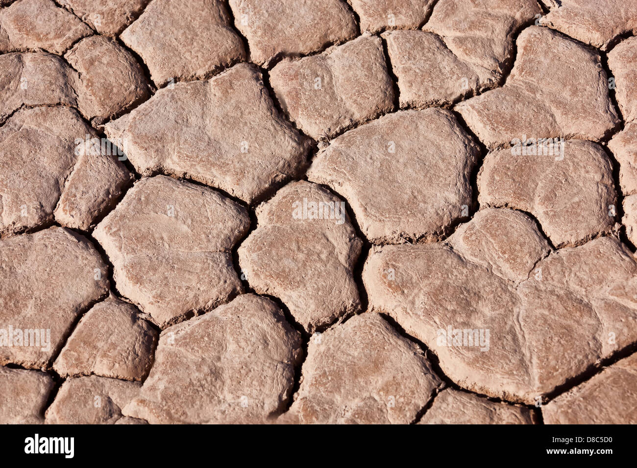 Dry earth background structure hi-res stock photography and images - Alamy