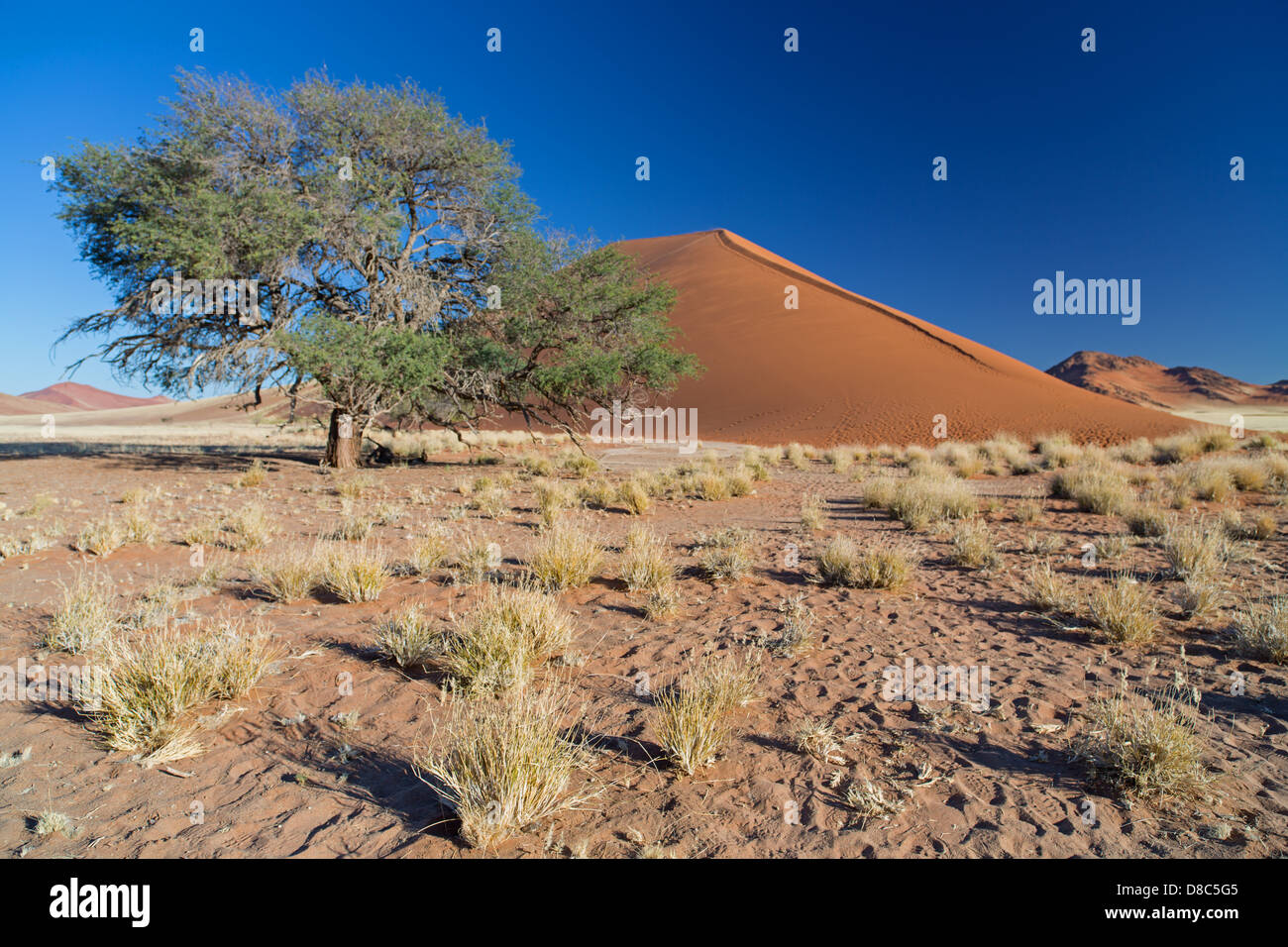 Very dry landscape hi-res stock photography and images - Alamy
