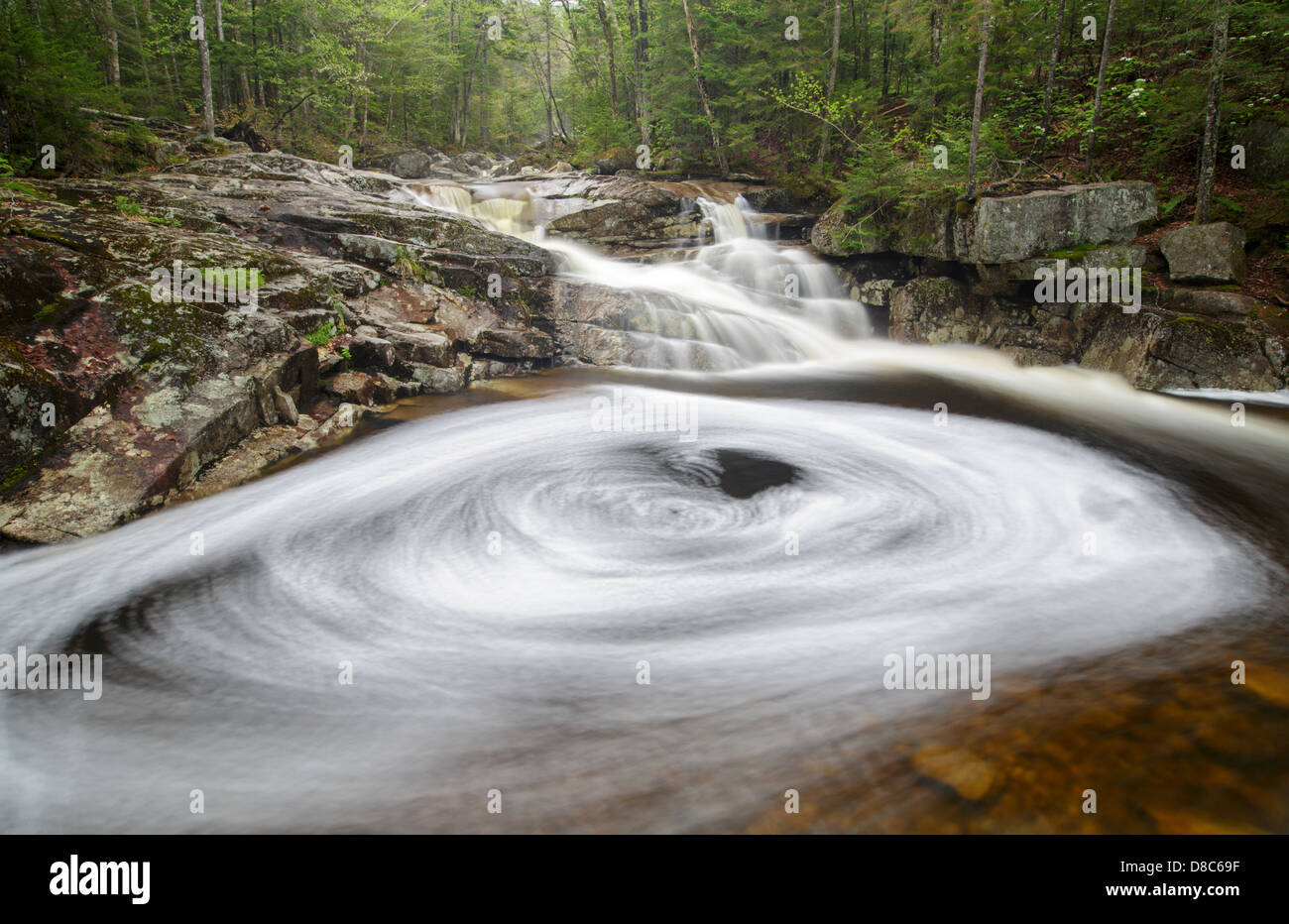 Cascade Brook during the spring months. This brook is located along the ...