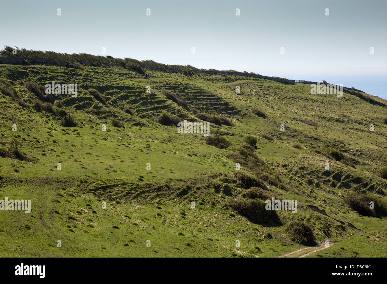 Medieval farming hi-res stock photography and images - Alamy