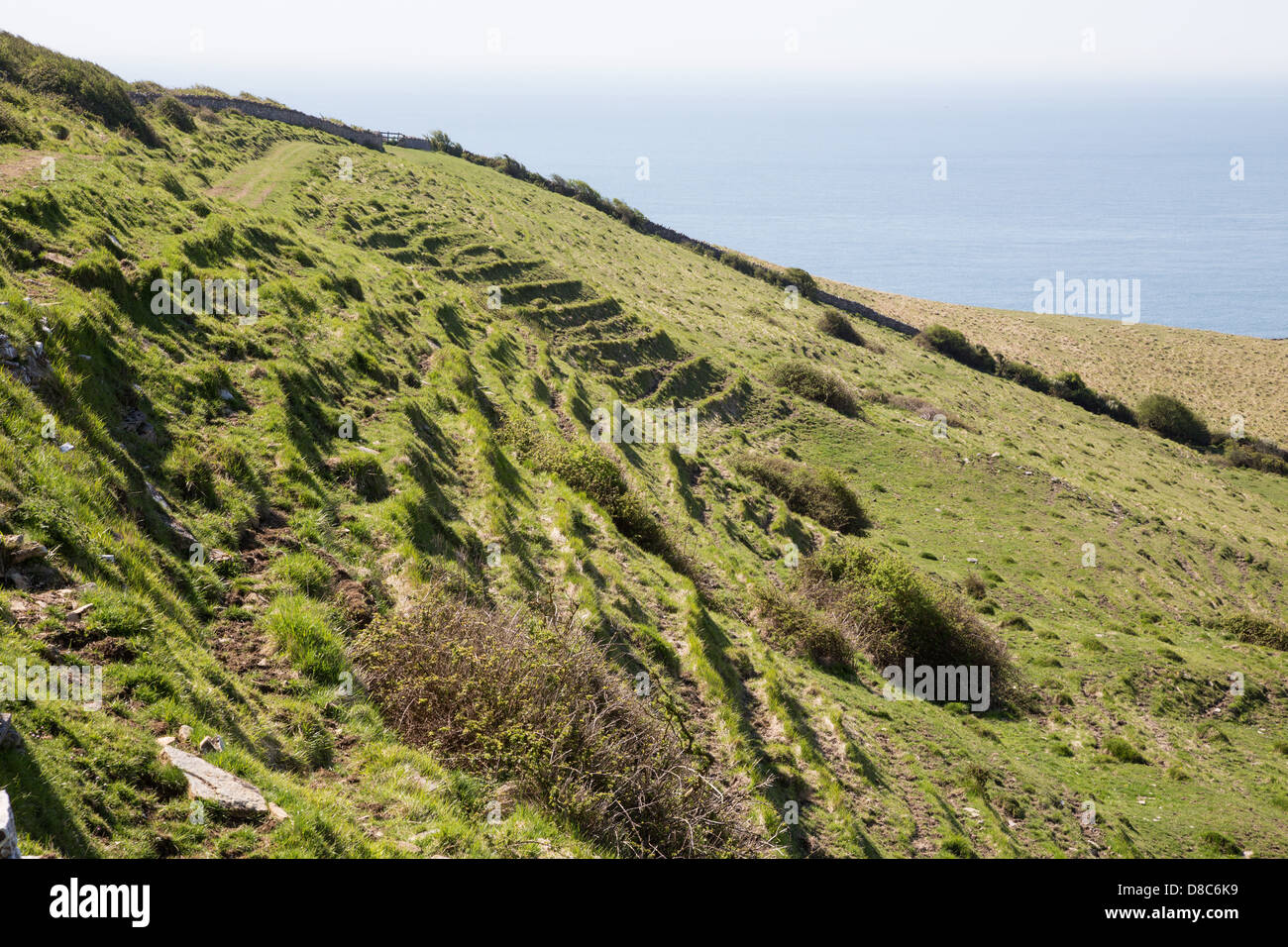 Strip Lynchets in Isle of Purbeck, Dorset, Medieval farming terraces ...