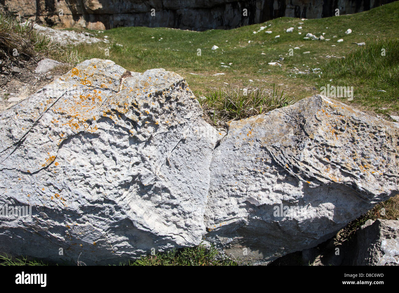 Limestone rock at site of old quarry workings, Dancing Ledge, Isle of ...