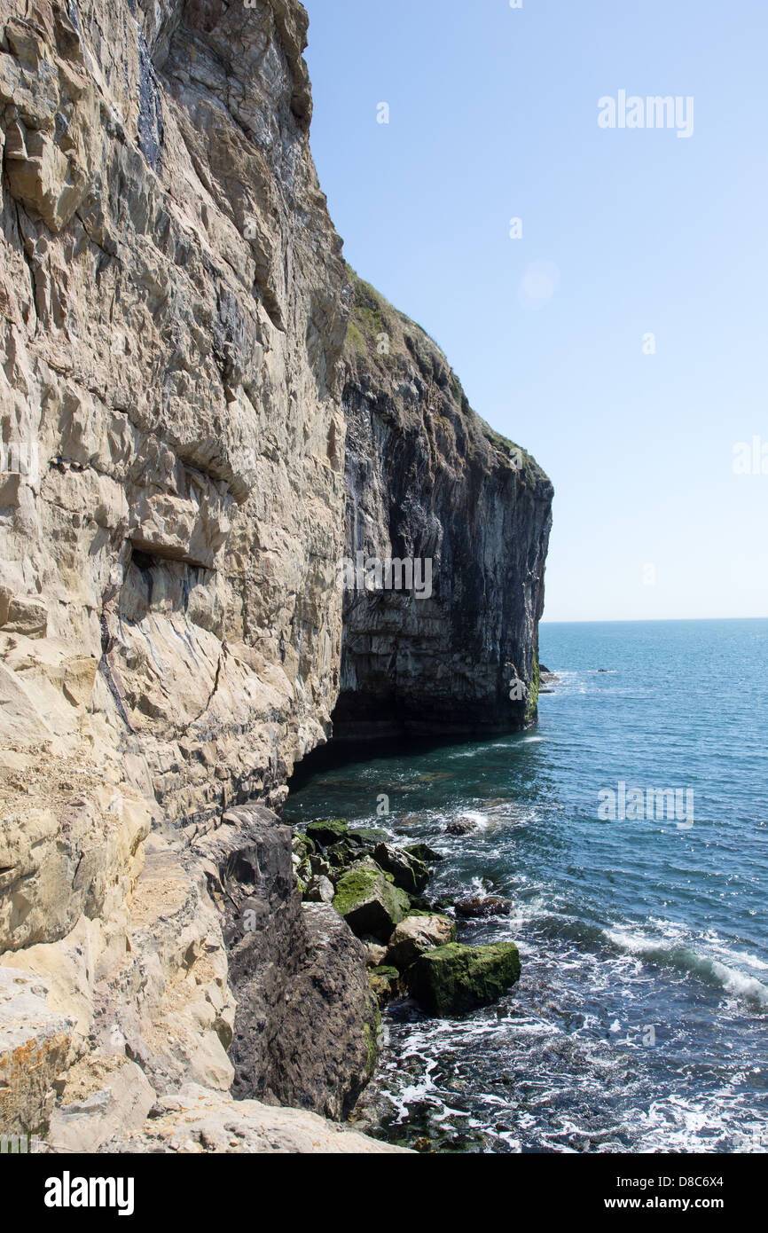 Cliffs near Dancing Ledge, Isle of Purceck, Dorset UK Stock Photo - Alamy