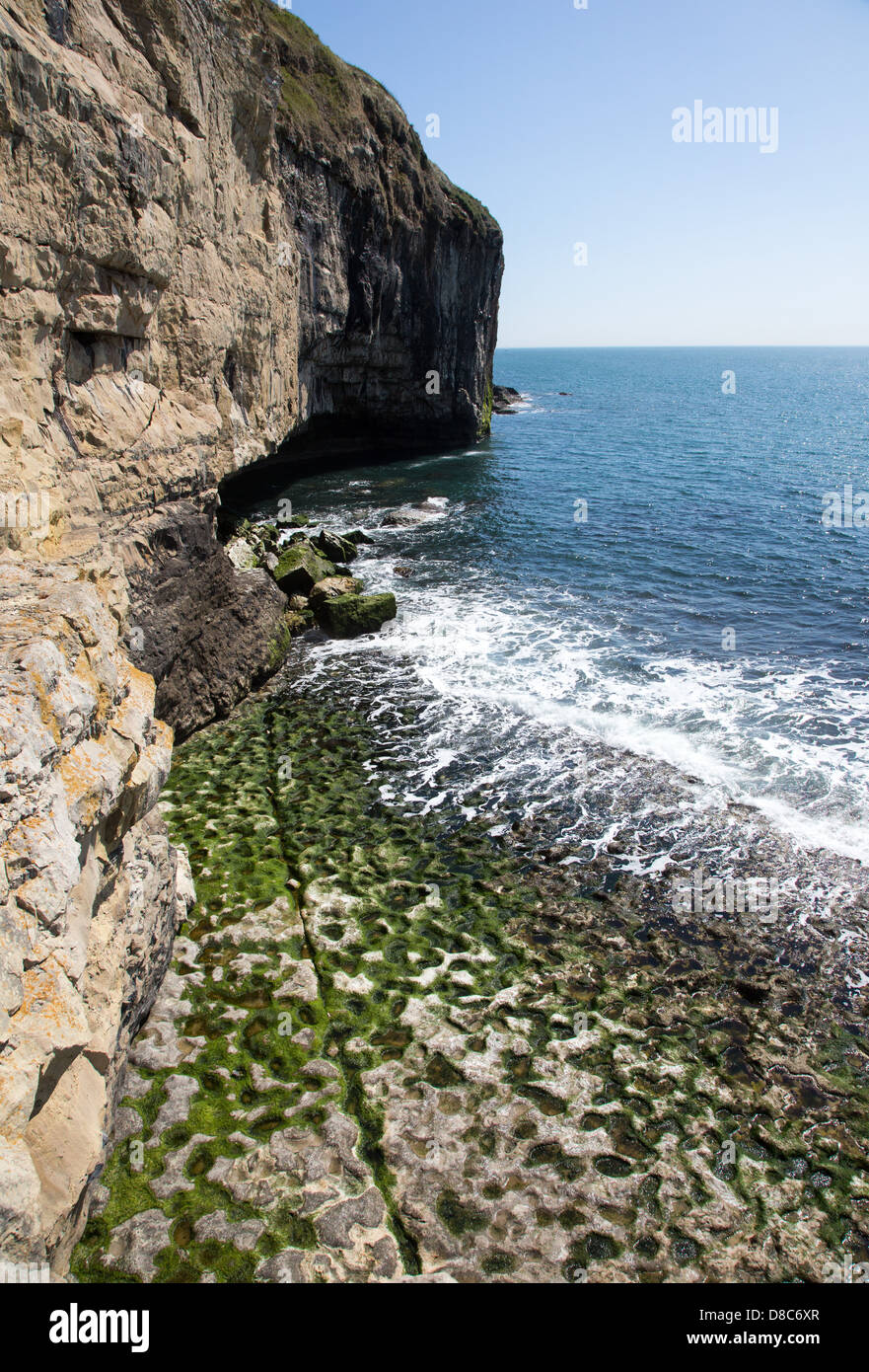 Limestone rock, Dancing Ledge, Isle of Purbeck, Dorset UK Stock Photo ...