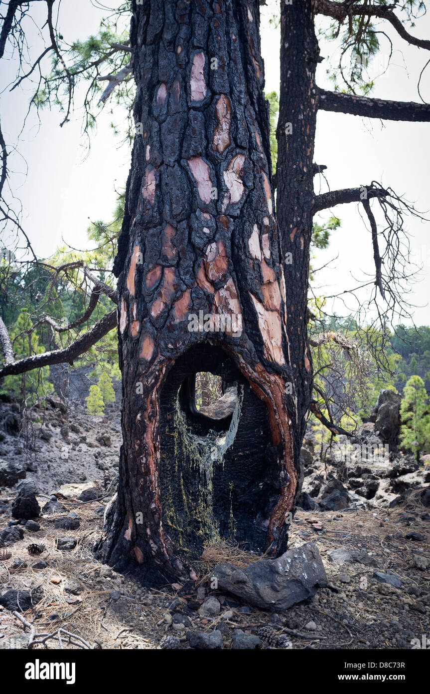 Burnt hole hi-res stock photography and images - Alamy