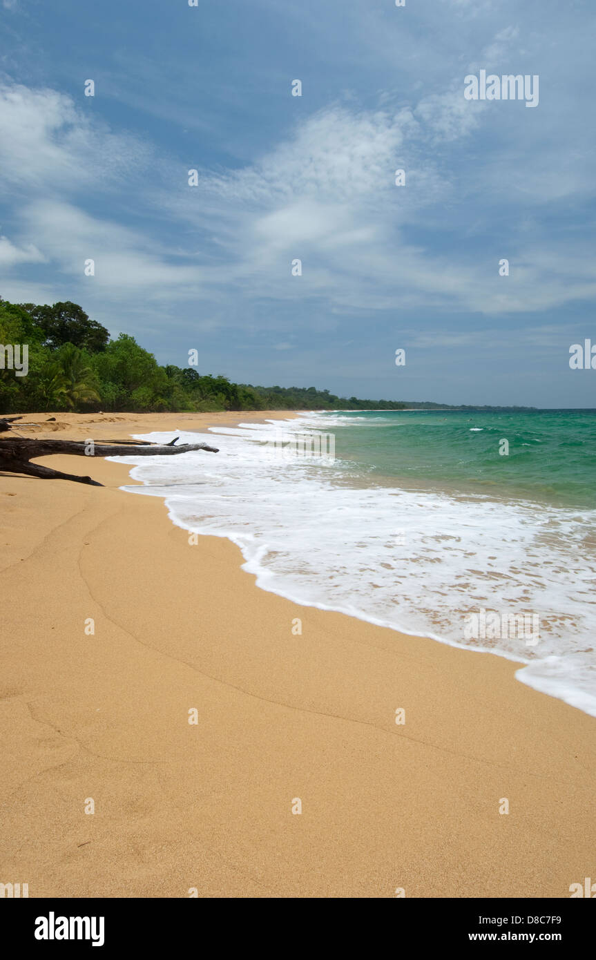 White sands and forest at Bluff Beach in Colon Island Stock Photo - Alamy