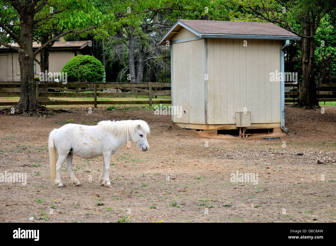 Dallas texas ranch hi-res stock photography and images - Alamy