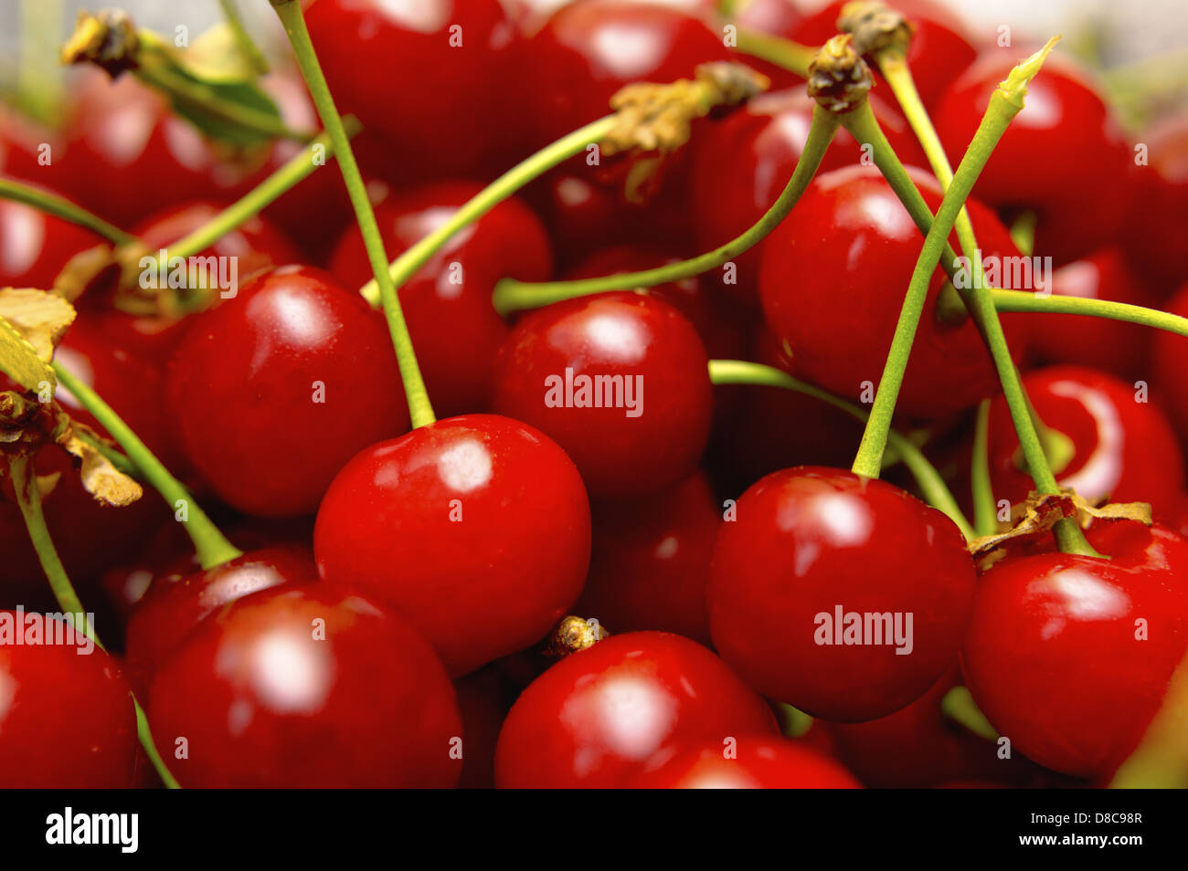 Group of ripe tasty cherries Stock Photo - Alamy
