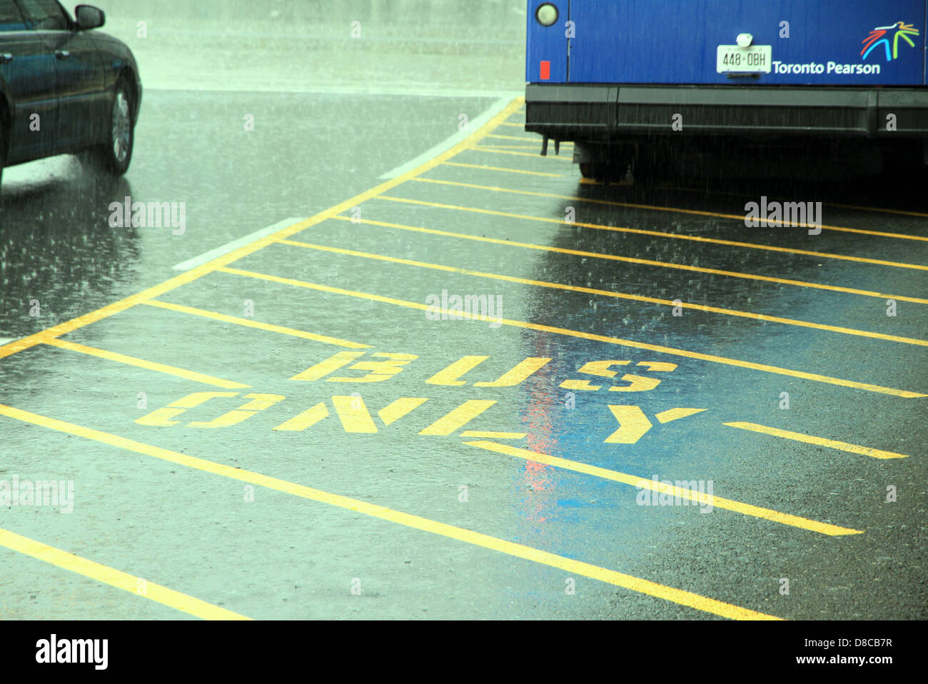 Bus Only Sign Stock Photo - Alamy