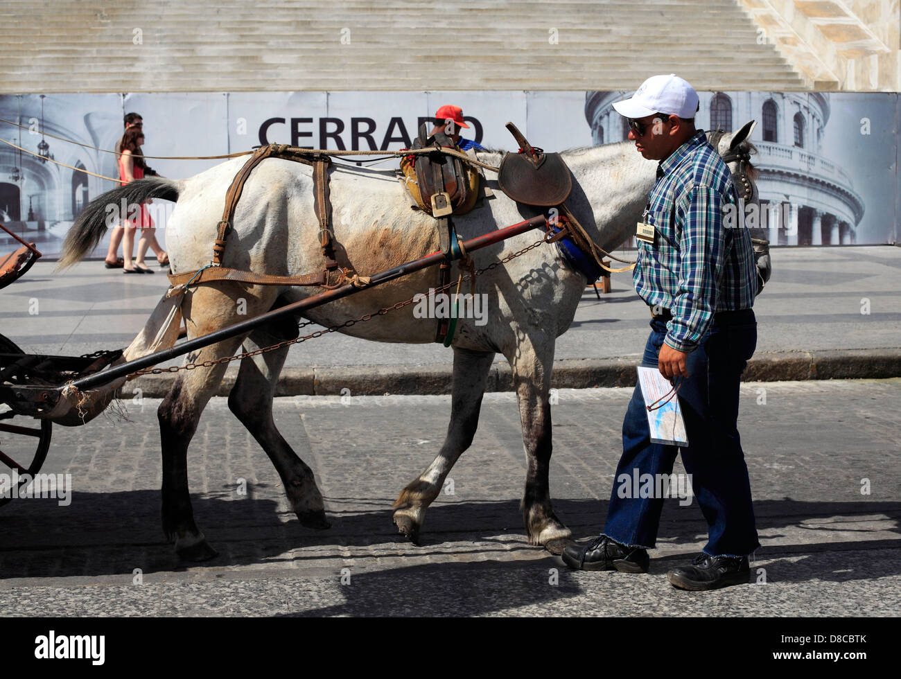 Horse drawn carriage driver hi-res stock photography and images - Alamy