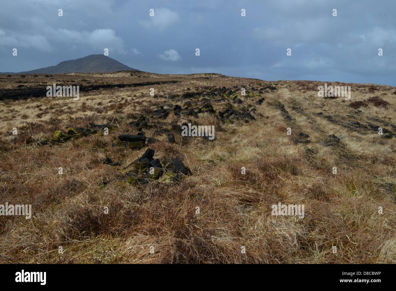 Man peat bog ireland hi-res stock photography and images - Alamy