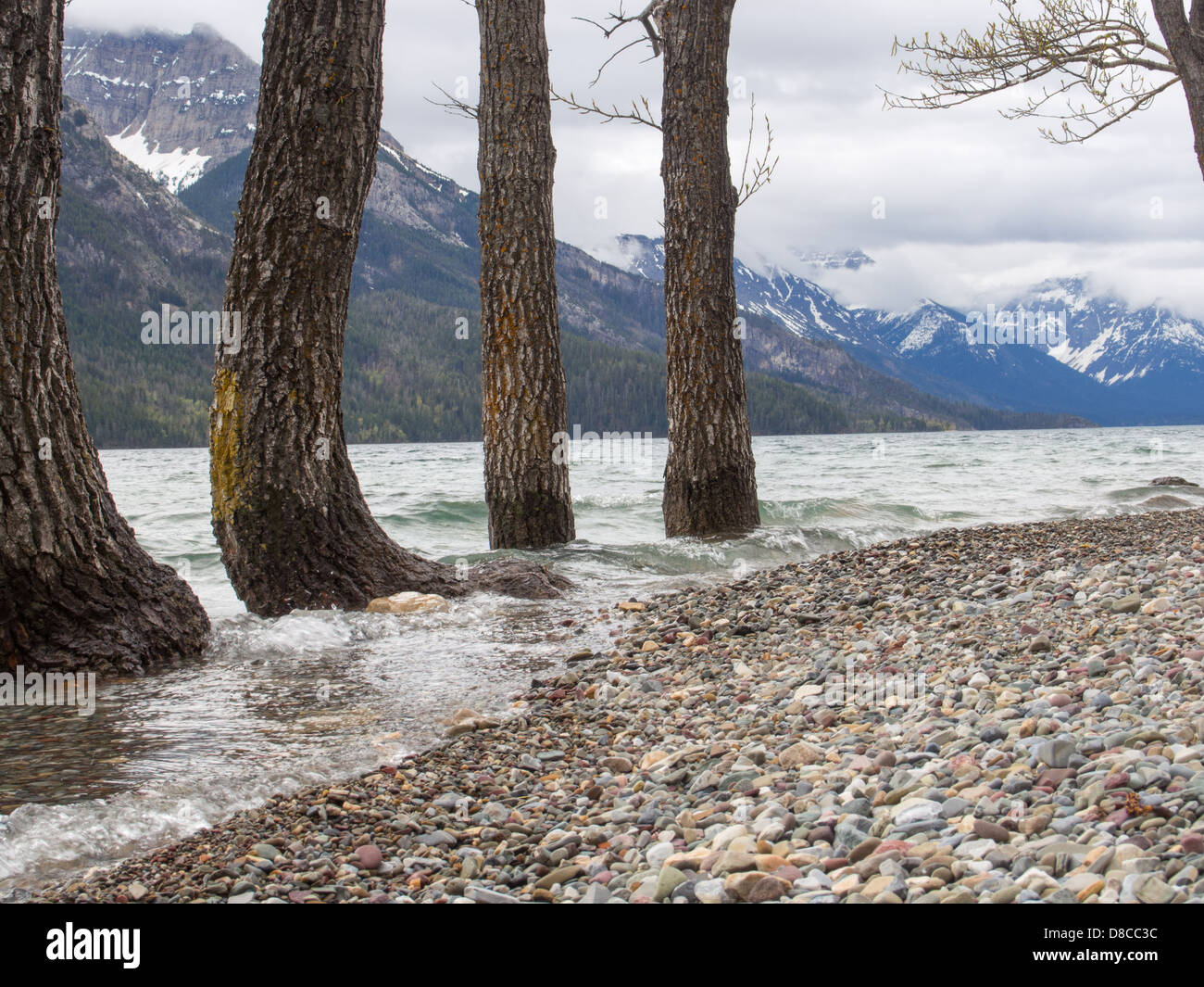 Lake view in Waterton, Alberta, Canada. The Canadian Rockies Stock ...