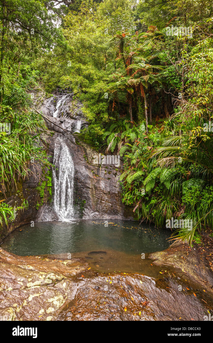 Fairy Falls, in the Waitakere Ranges Regional Park, Auckland Region ...