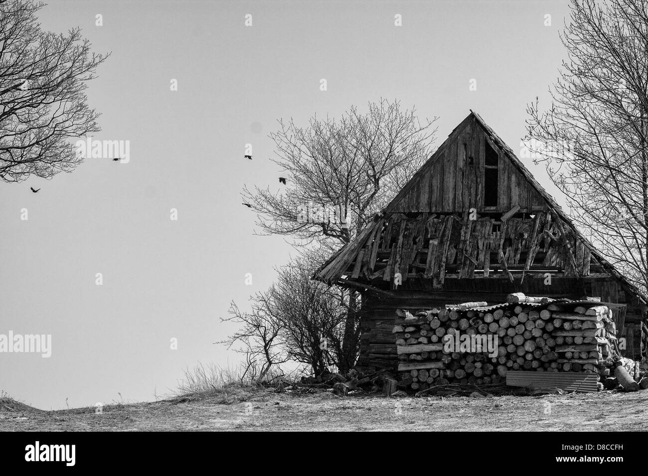 Birds flying behind old cottage Stock Photo - Alamy