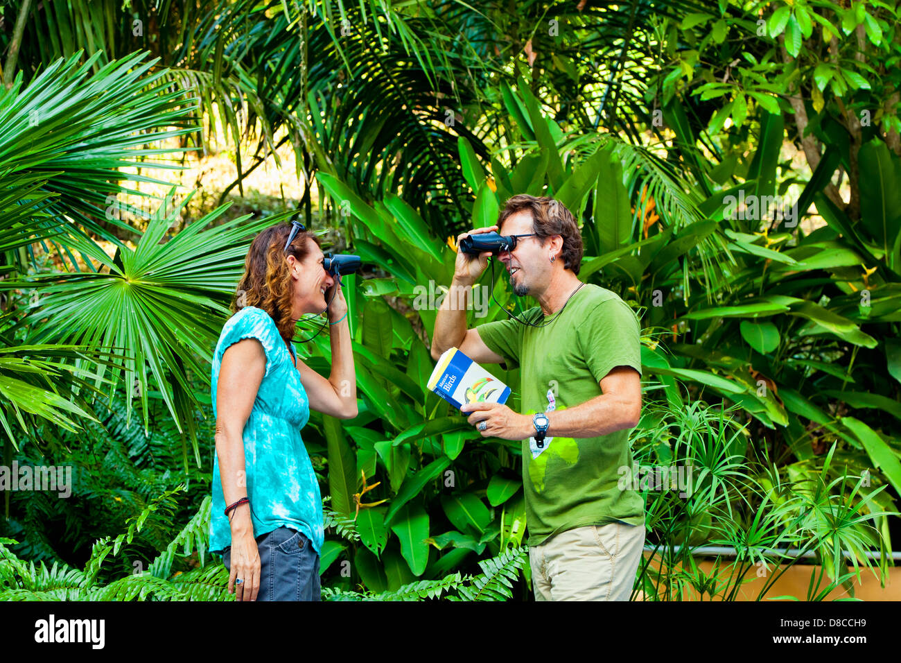 Man and woman bird watching in jungle Stock Photo - Alamy