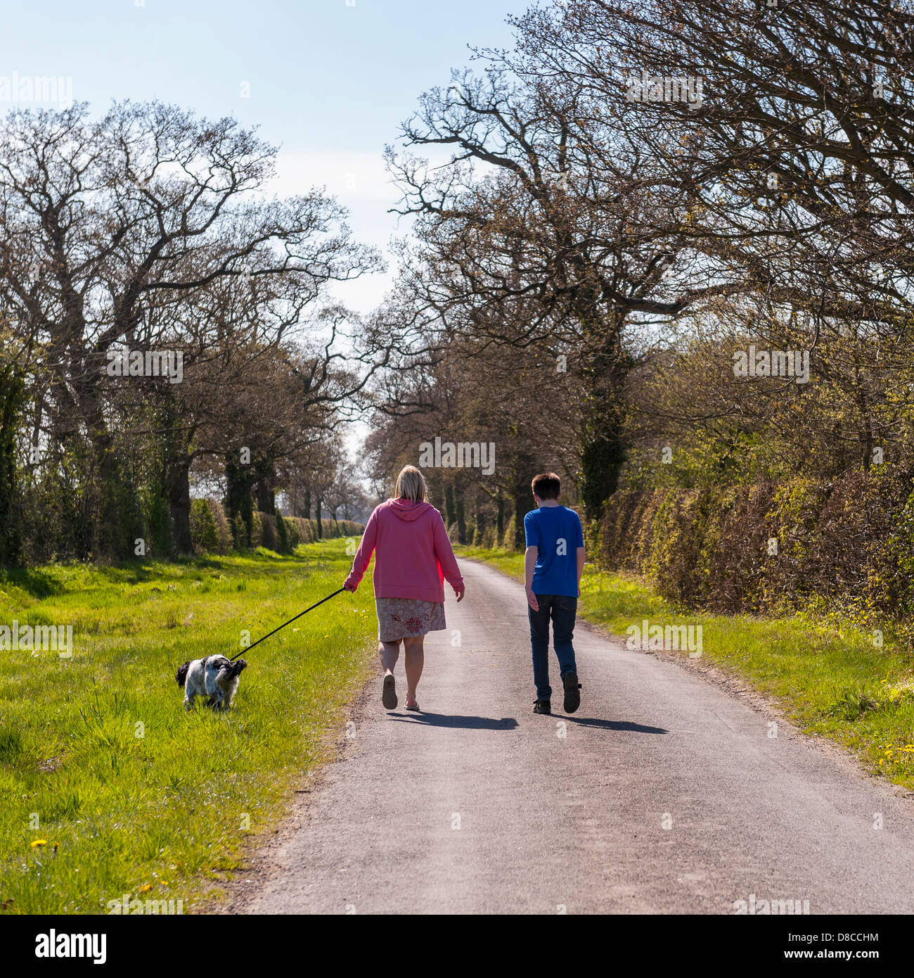 A woman and her son walking the dog down a country lane in Sotterley ...