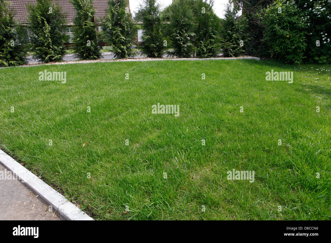 Lawn of newly laid turf Stock Photo - Alamy
