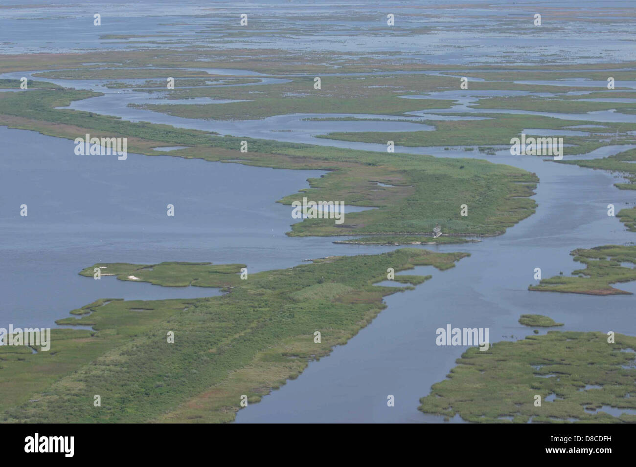 An aerial view of a marsh swamp landscape, showcasing the wetland's ...