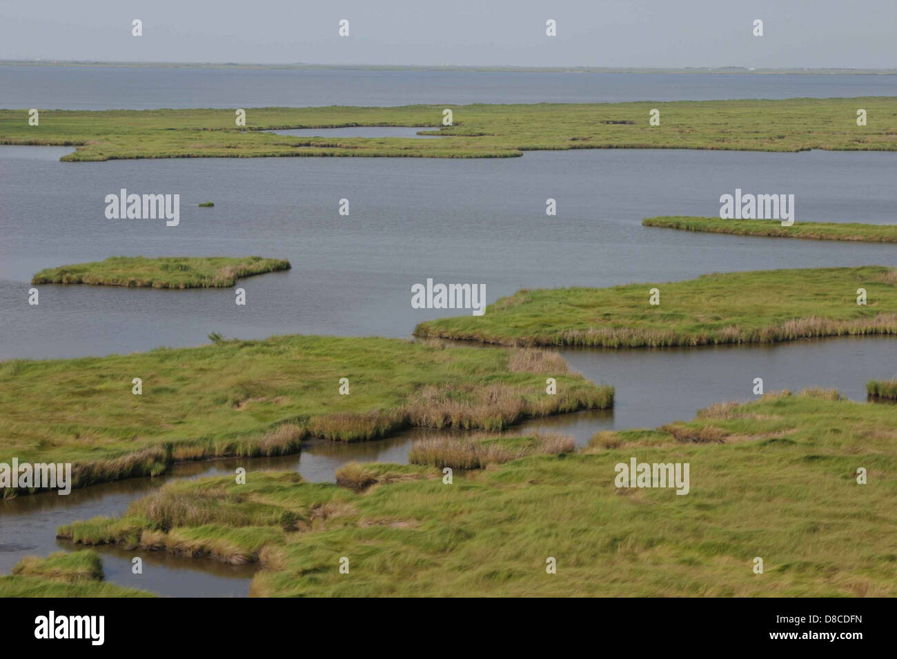 An aerial view of a marsh wetland, showcasing the lush greenery and ...