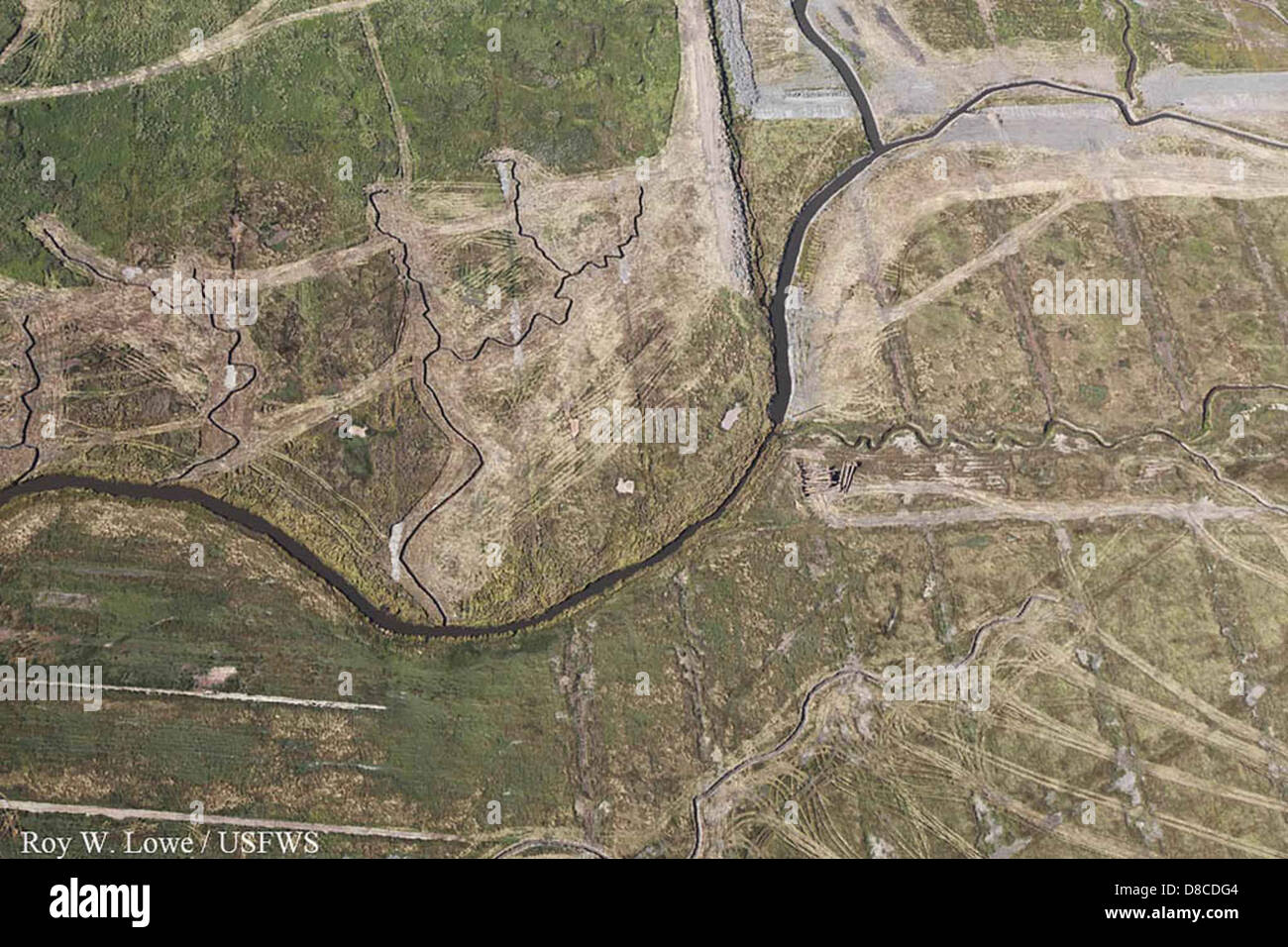 An aerial view of newly formed channels in a landscape, showcasing the ...