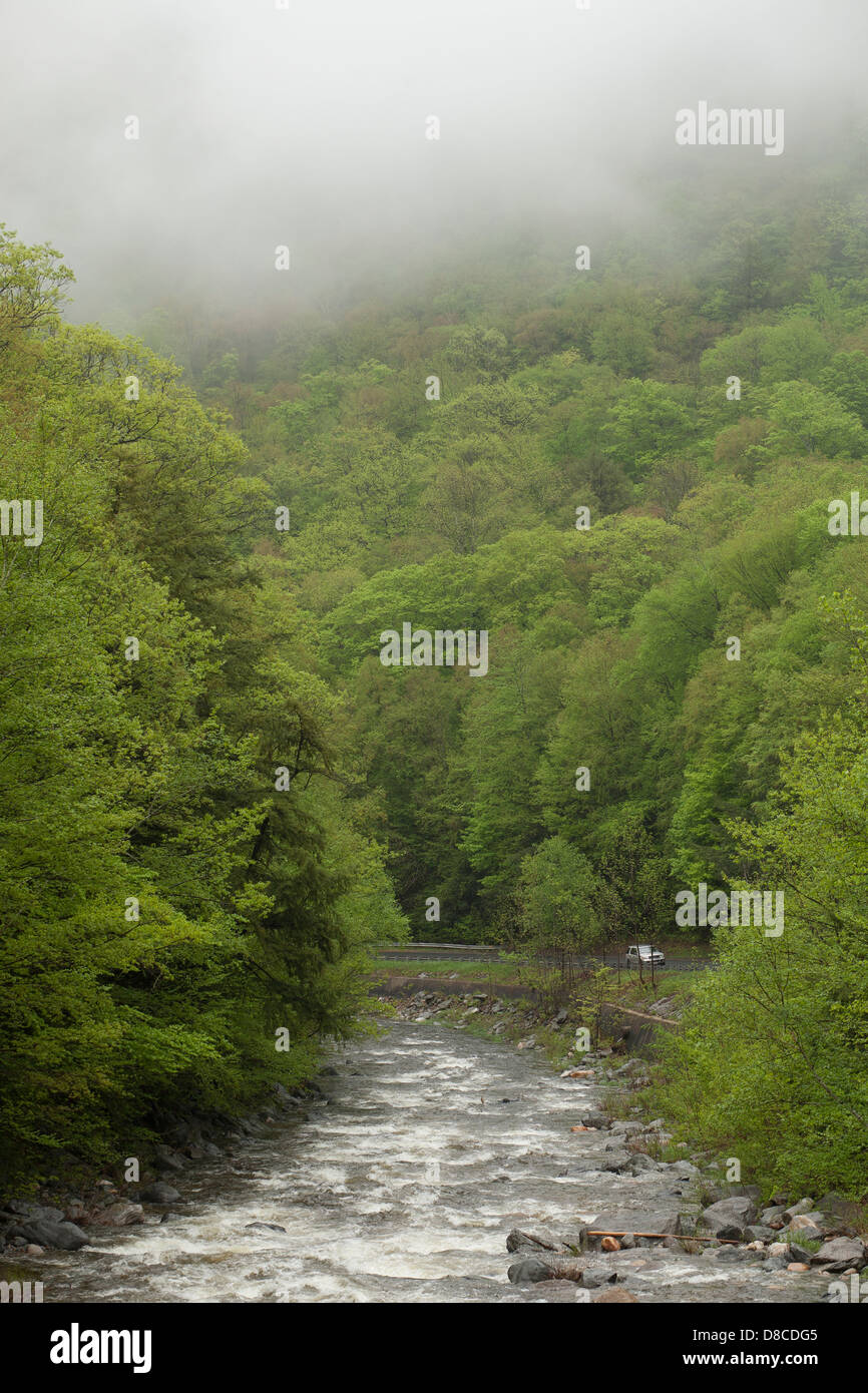 Low clouds hang over a churning Berkshire mountain river in the spring ...