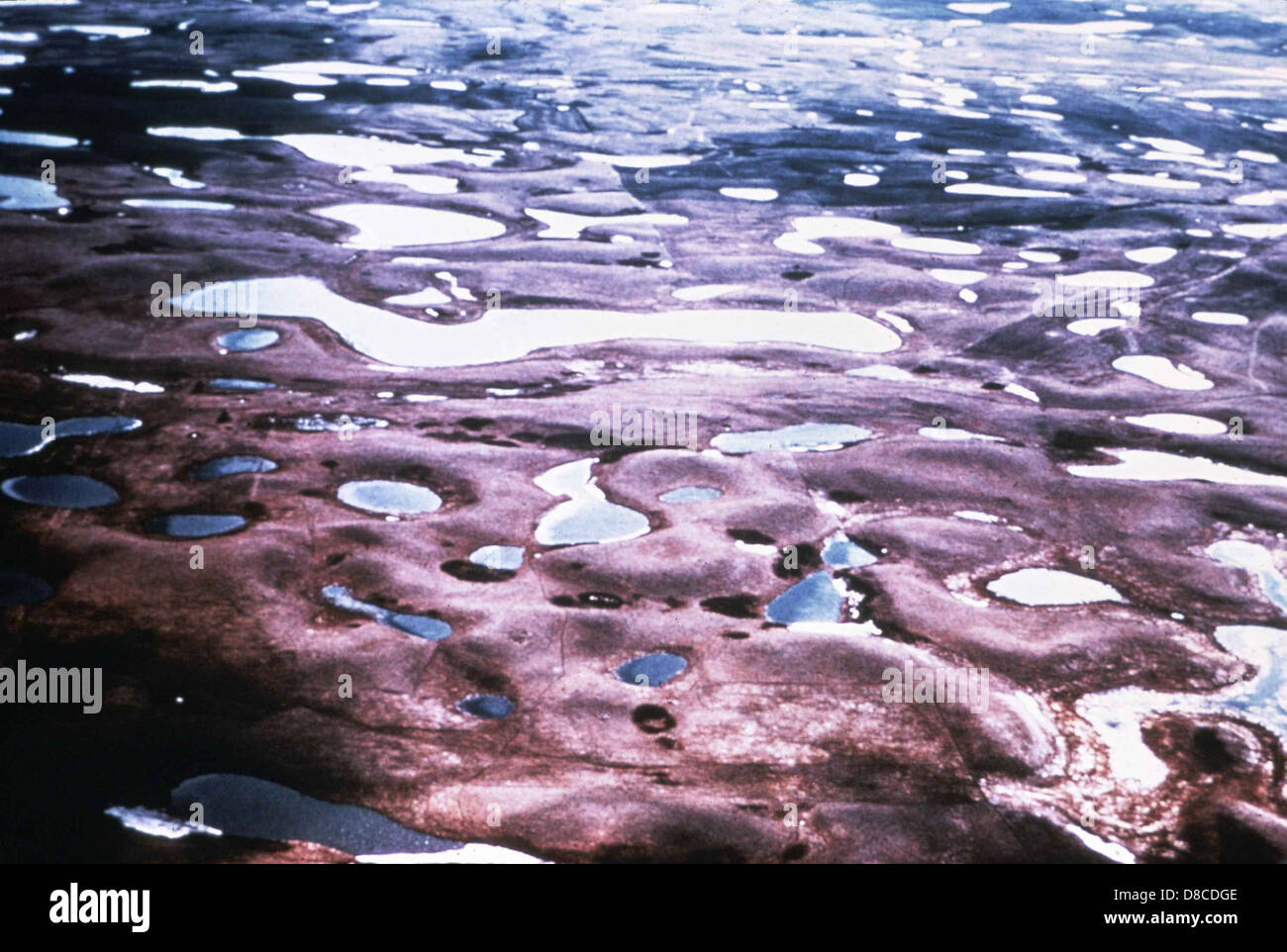 An aerial view of prairie potholes showcases small, shallow bodies of ...