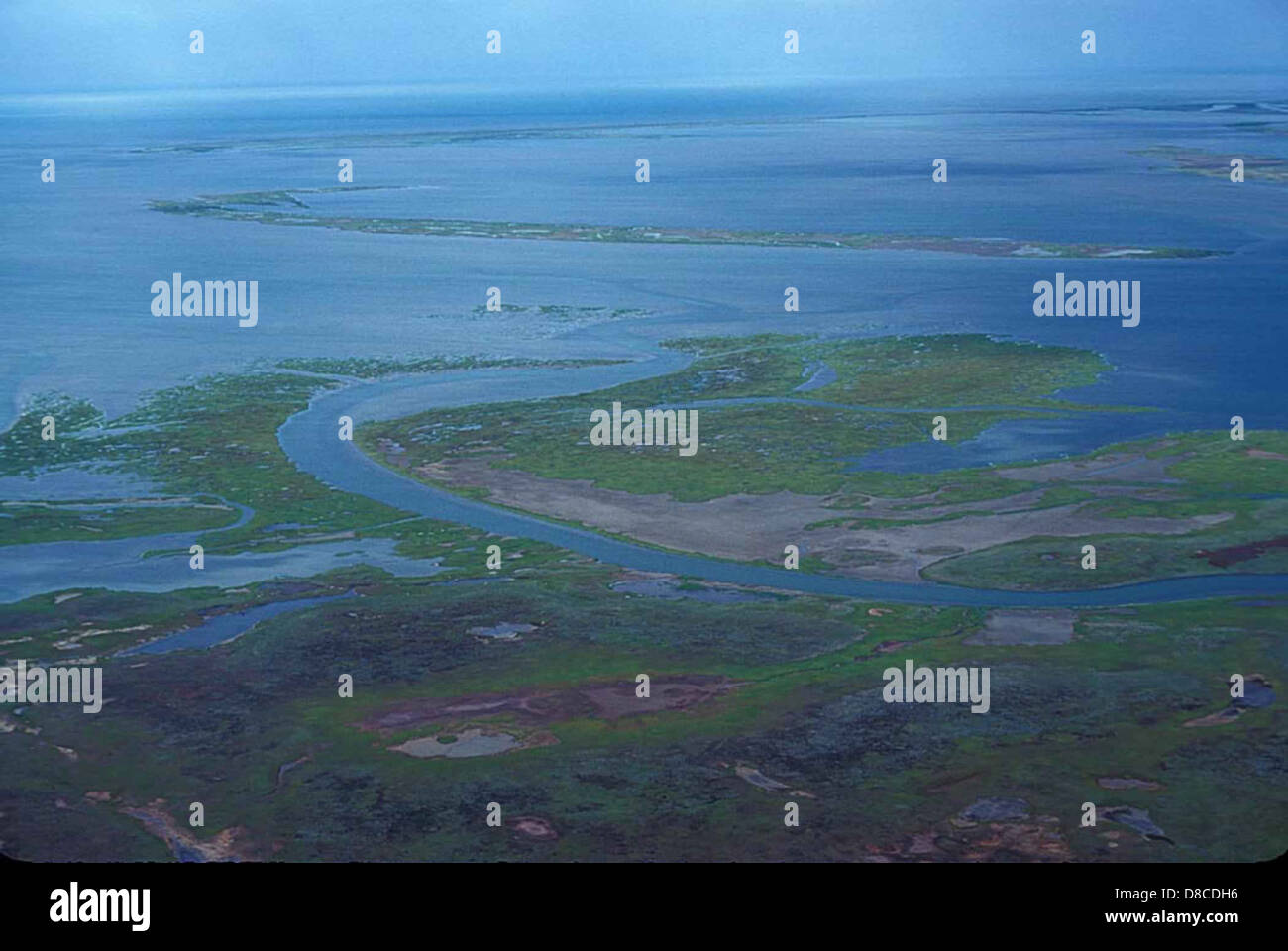 An aerial view of a swamp during the summer season, showcasing the ...