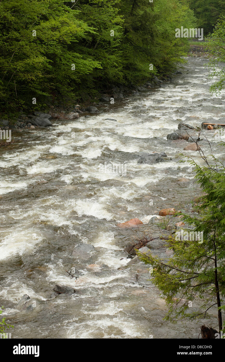 A churning Berkshire mountain river in the spring Stock Photo - Alamy