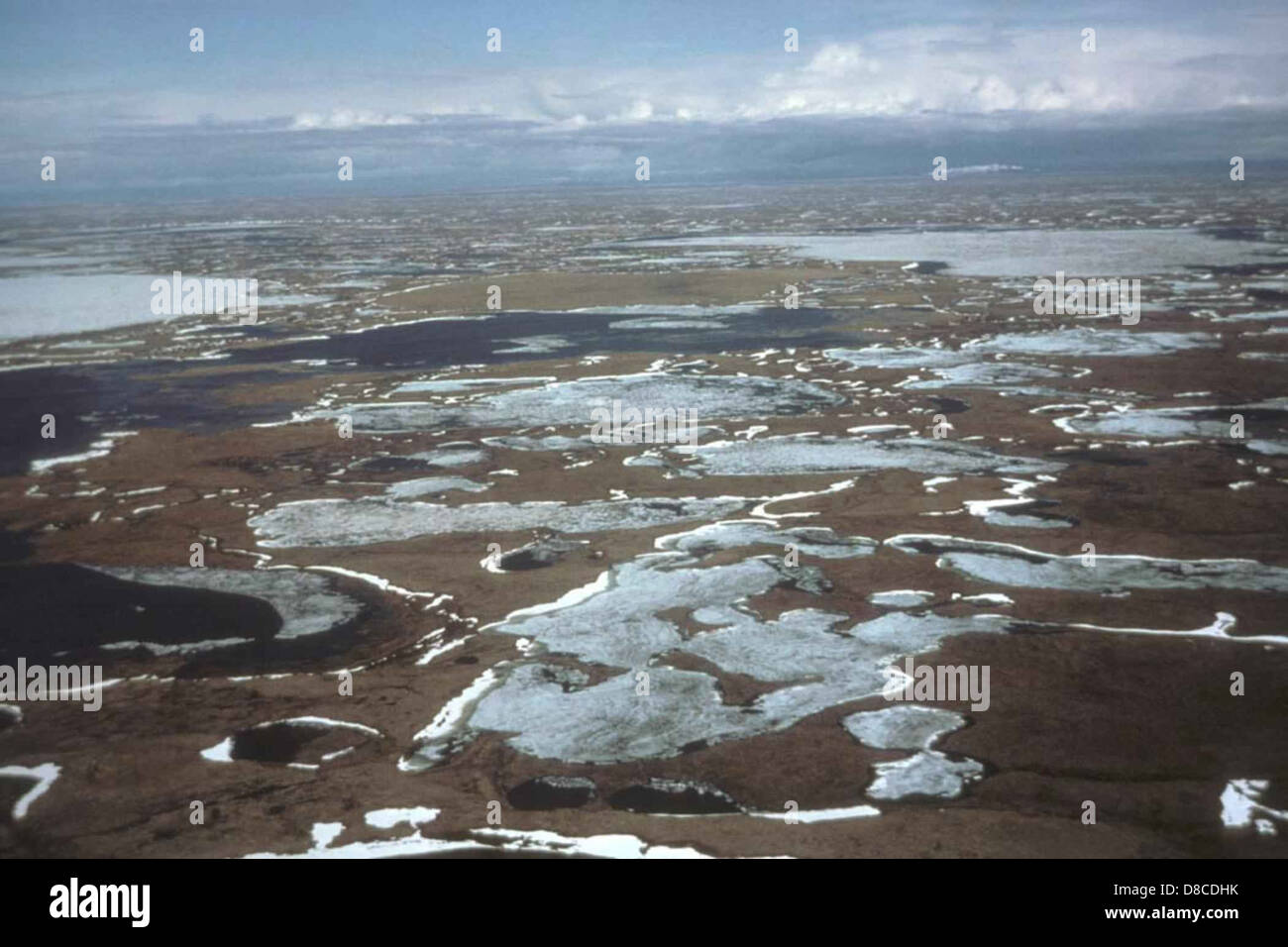 An aerial view of a swamp delta, showcasing the winding waterways and ...
