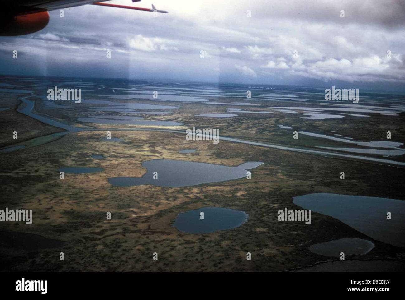Aerial view of wetlands from plane Stock Photo - Alamy