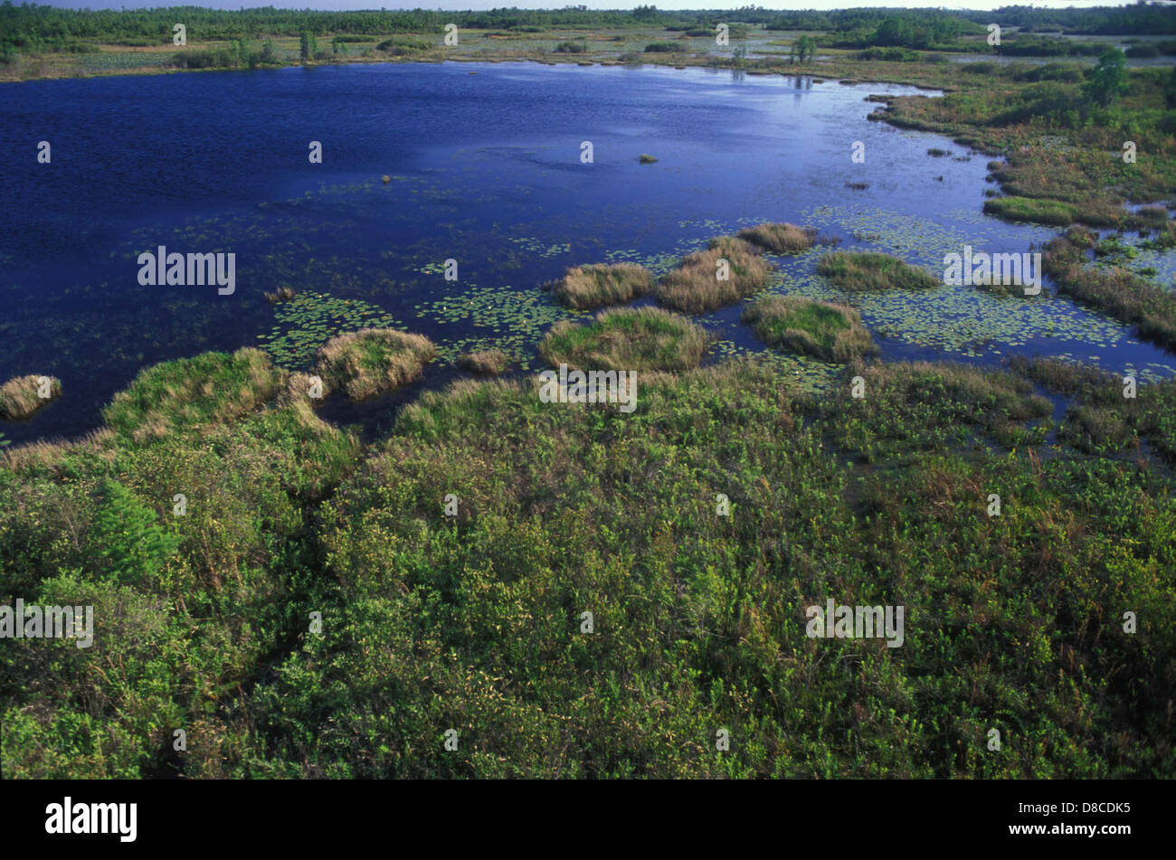 Okefenokee swamp aerial hi-res stock photography and images - Alamy