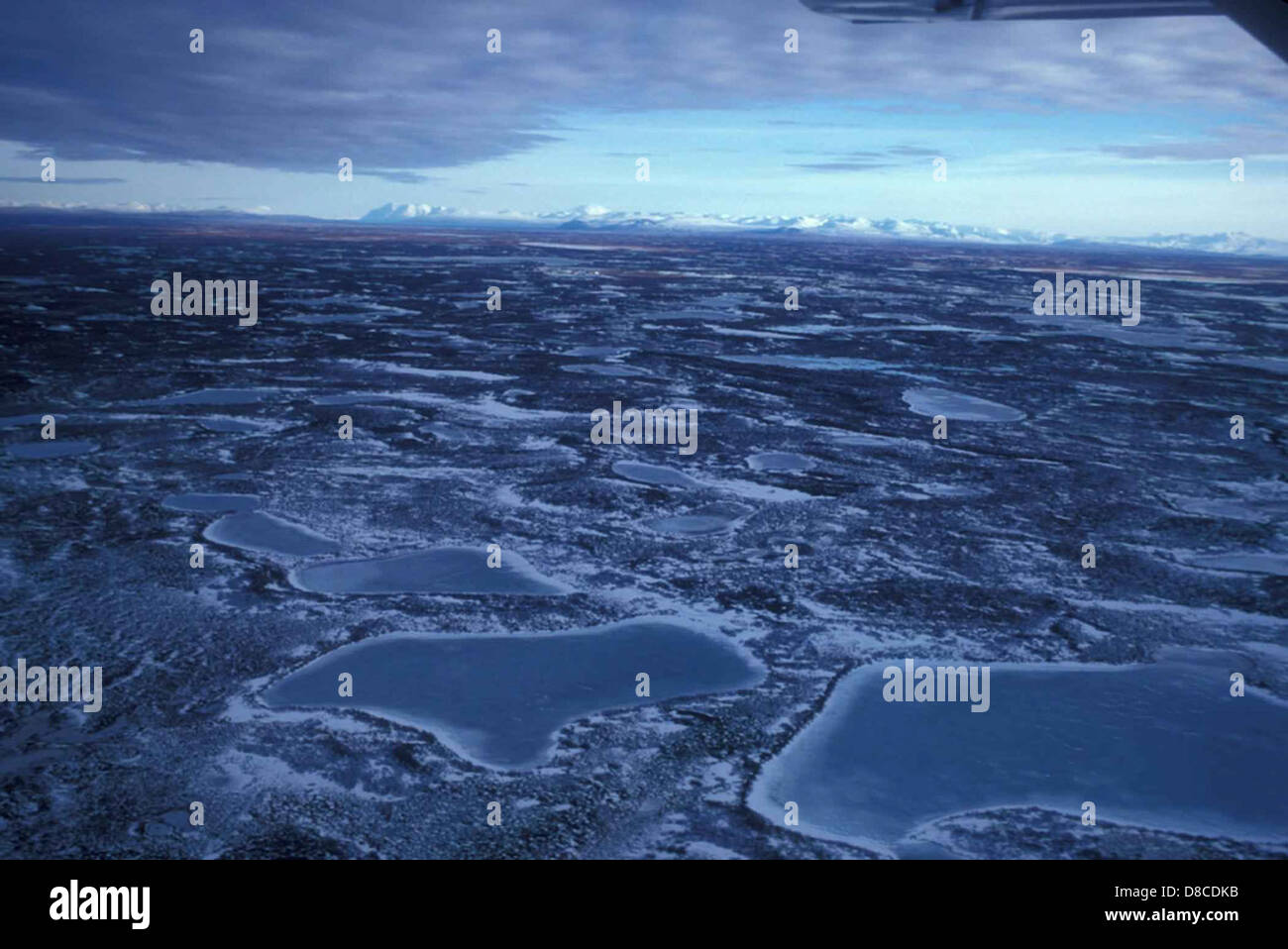 An aerial view showing frozen ponds within a wetland area during winter ...