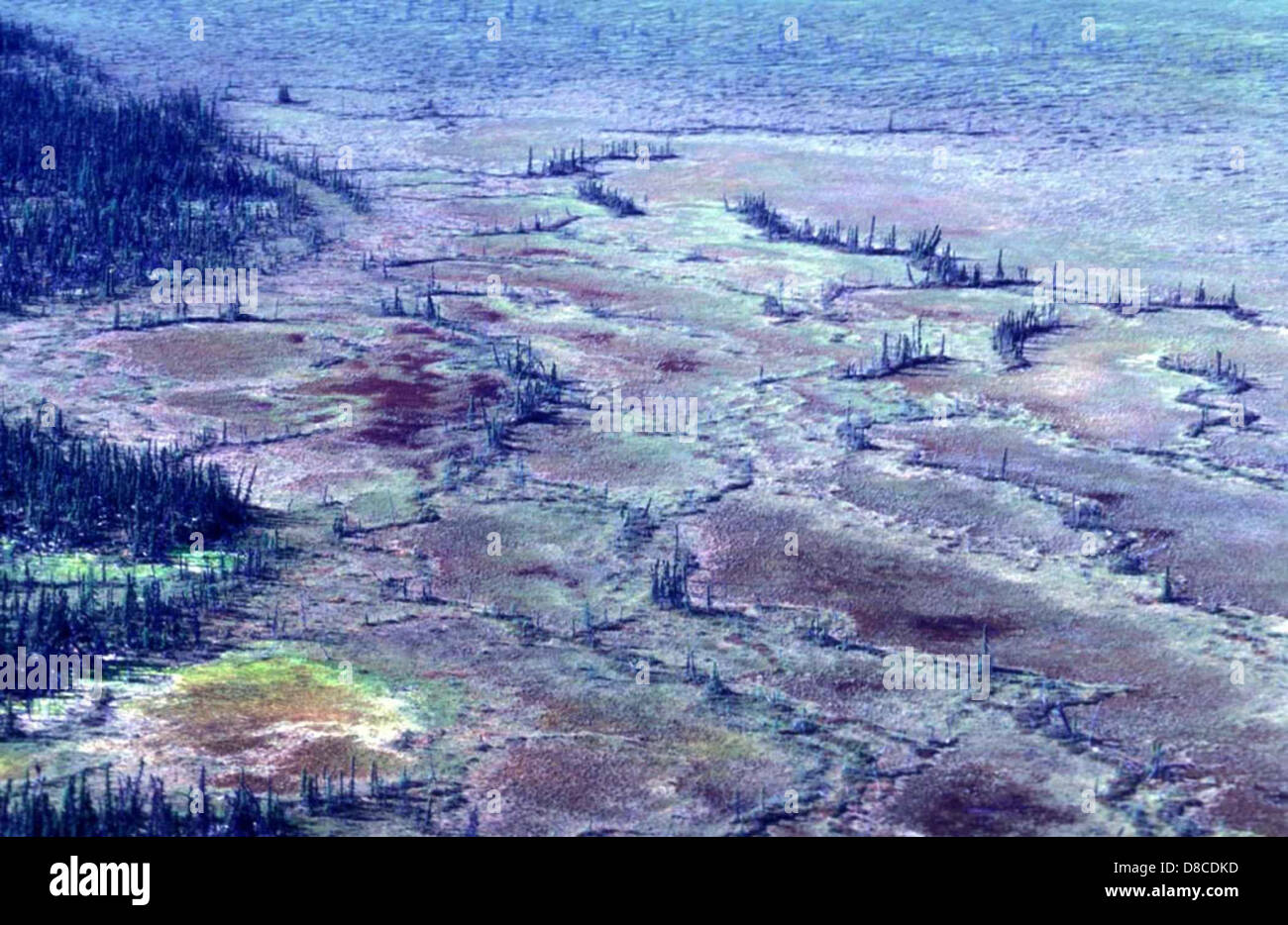 Aerial view of wetland near forest Stock Photo - Alamy