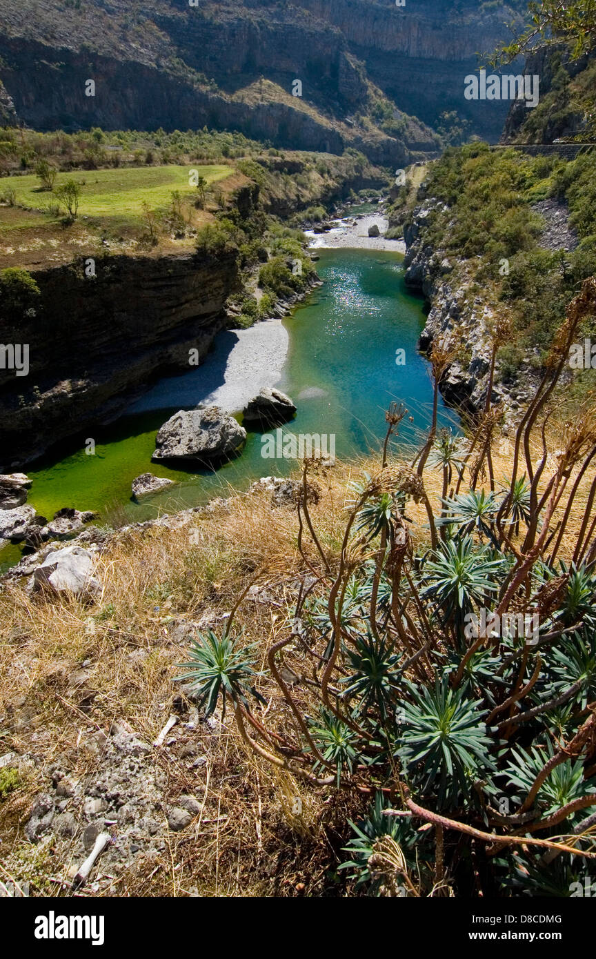 Tara river, Sinjajevina region, Montenegro, Europe Stock Photo - Alamy