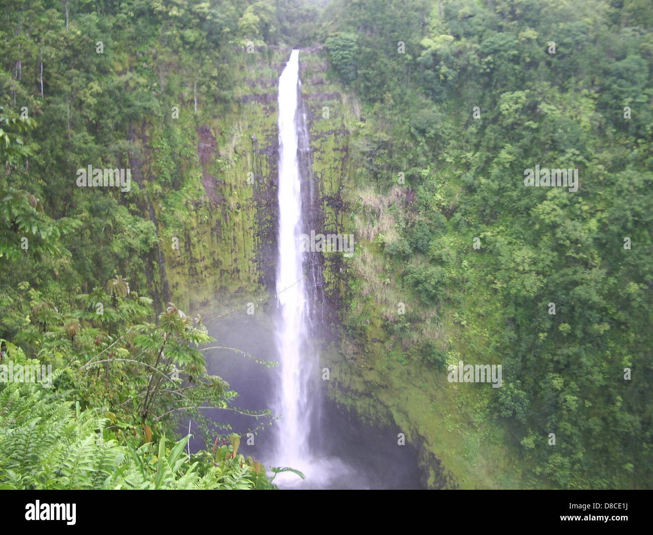Akaka Falls is located in the Hamakua region of Hawaii. The stunning ...