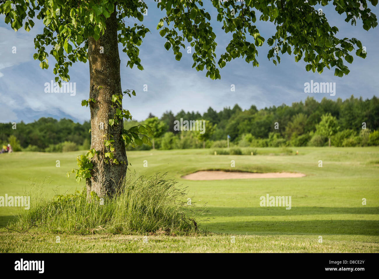 Shadow of golf flag hi-res stock photography and images - Alamy