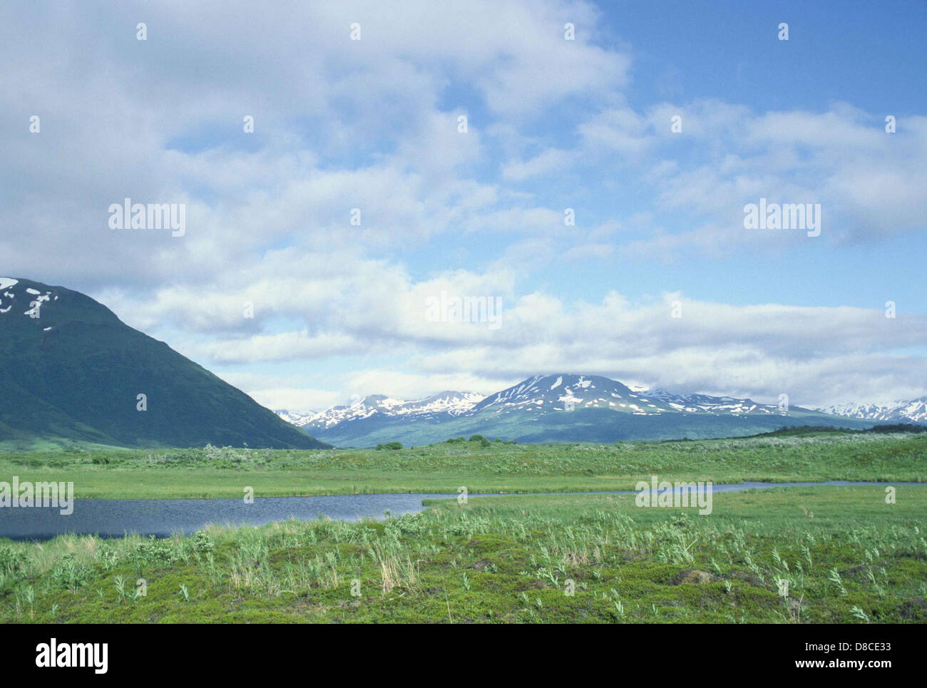 A sweeping view of the Alaskan landscape, highlighting snow-capped ...