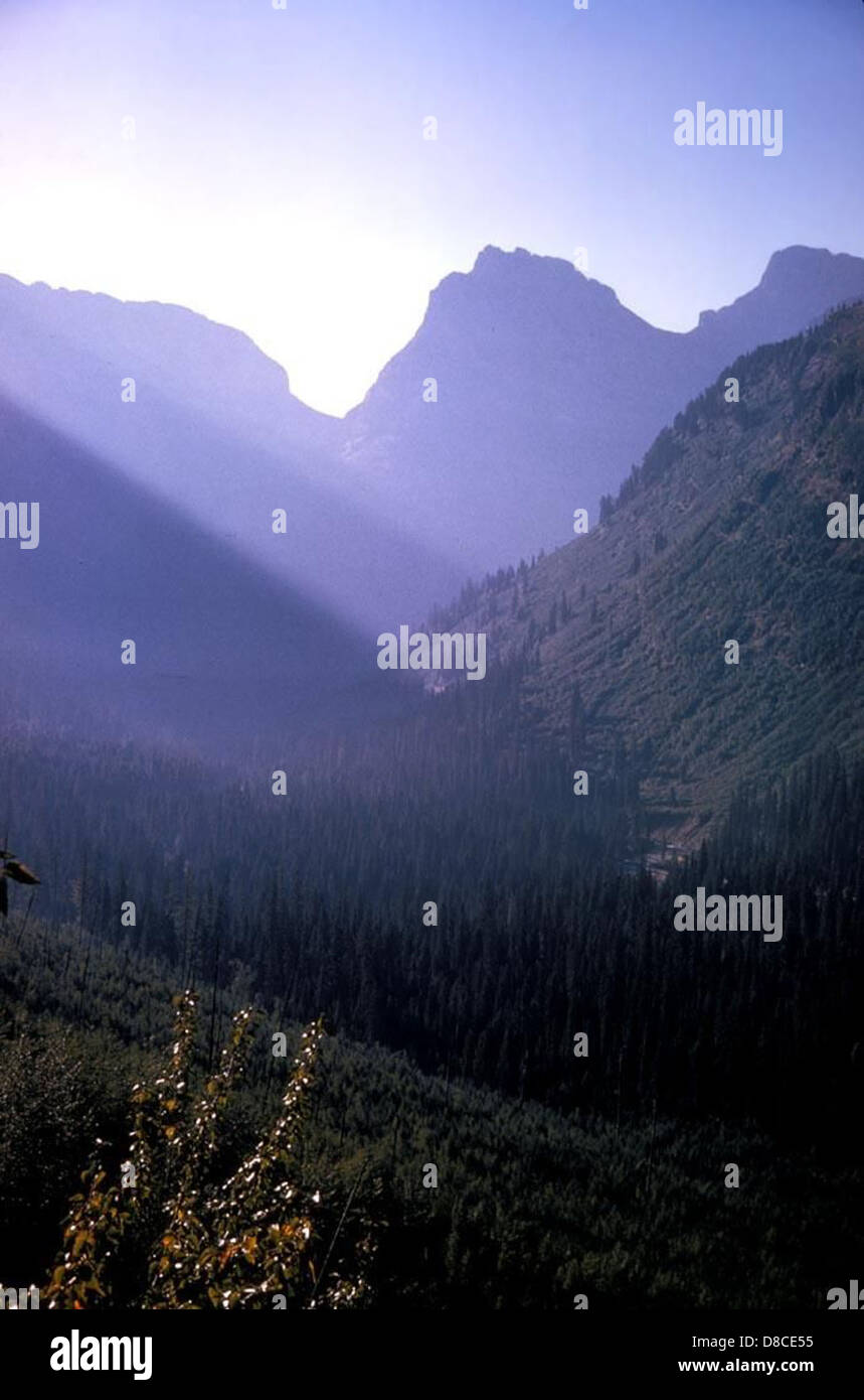 A wide view of an alpine valley, showcasing the lush green vegetation ...