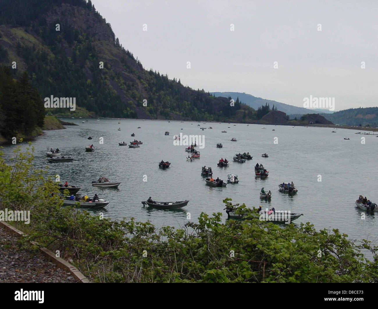 A crowded scene of anglers in boats on water, fishing in a popular ...