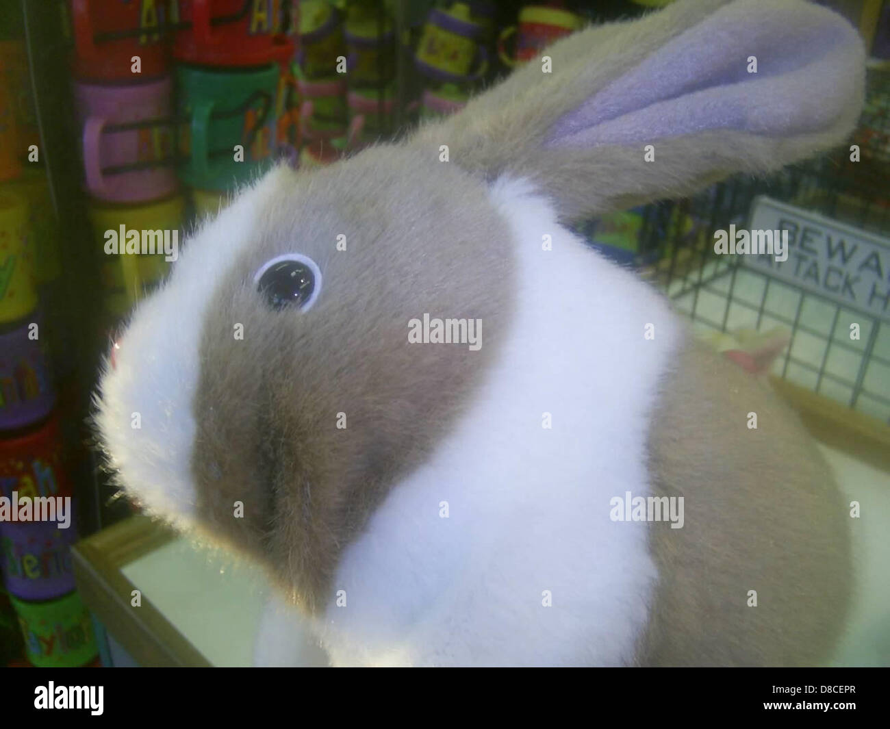 A battery-operated toy bunny sits in a toy store, designed to move and ...