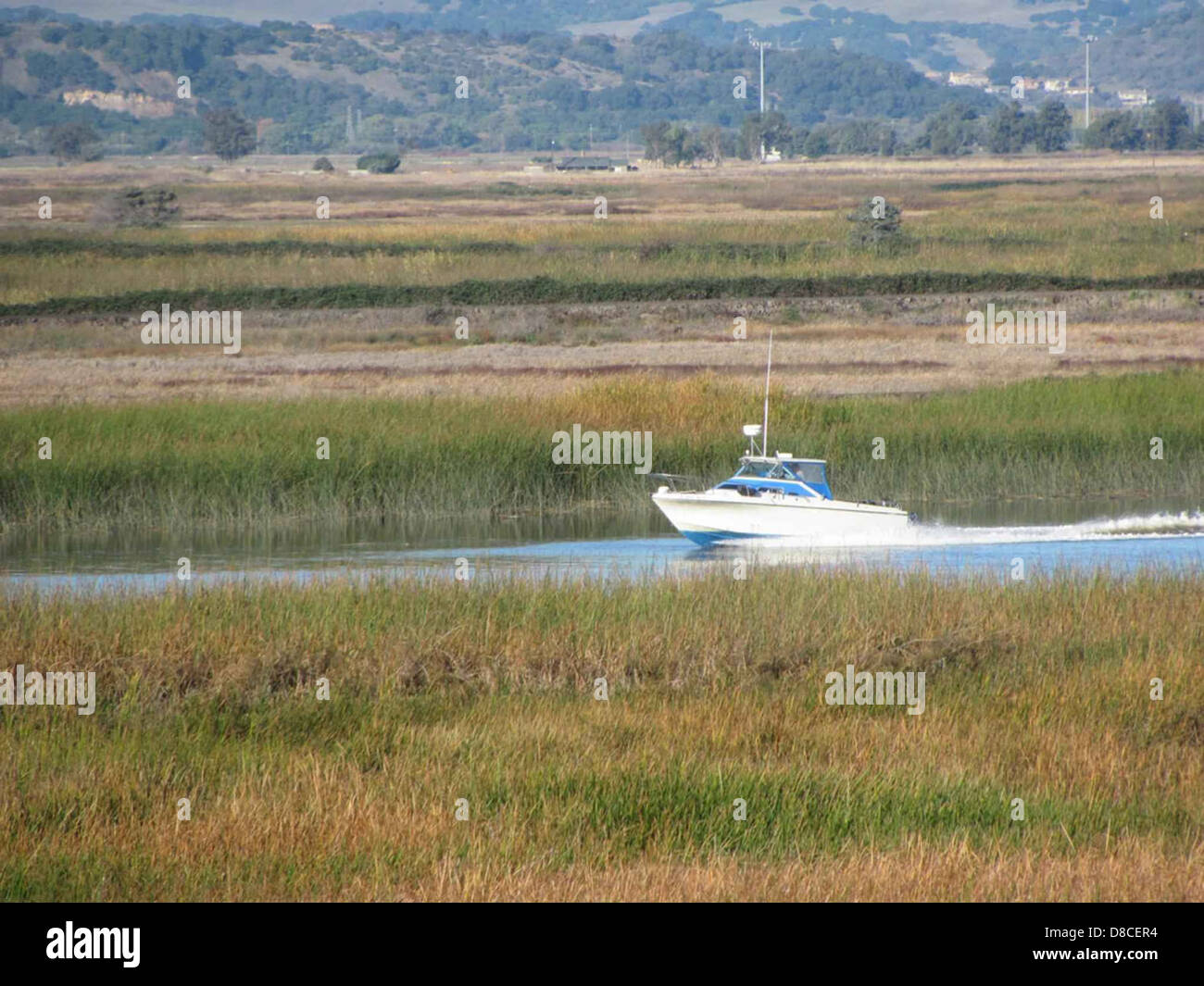 A boat glides through a slough, with calm water and surrounding ...