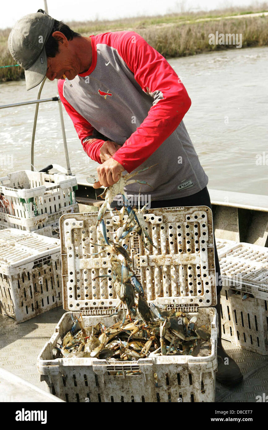 Important local seafood industry hi-res stock photography and images ...