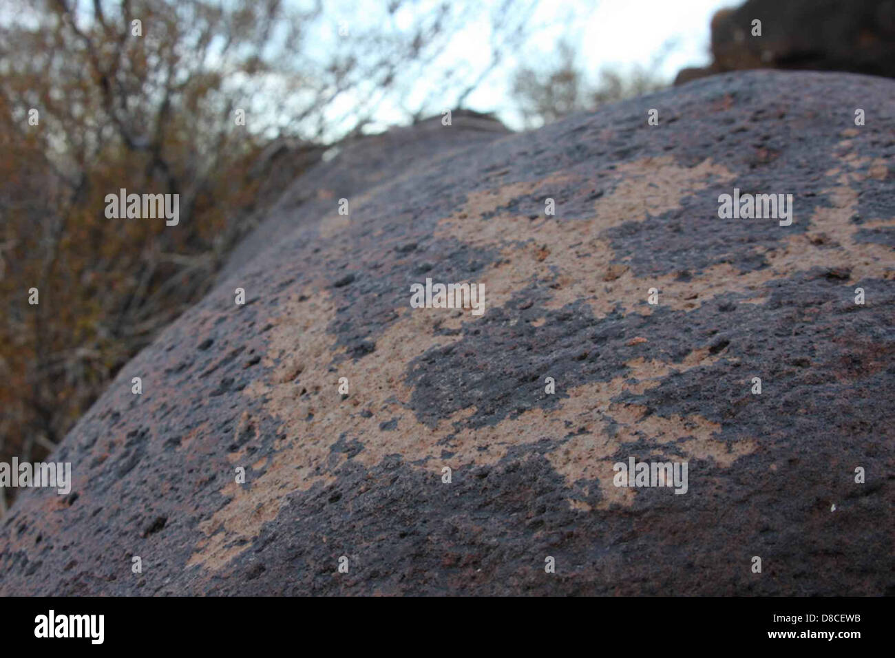 A petroglyph, an ancient image carved into rock, depicts symbolic ...
