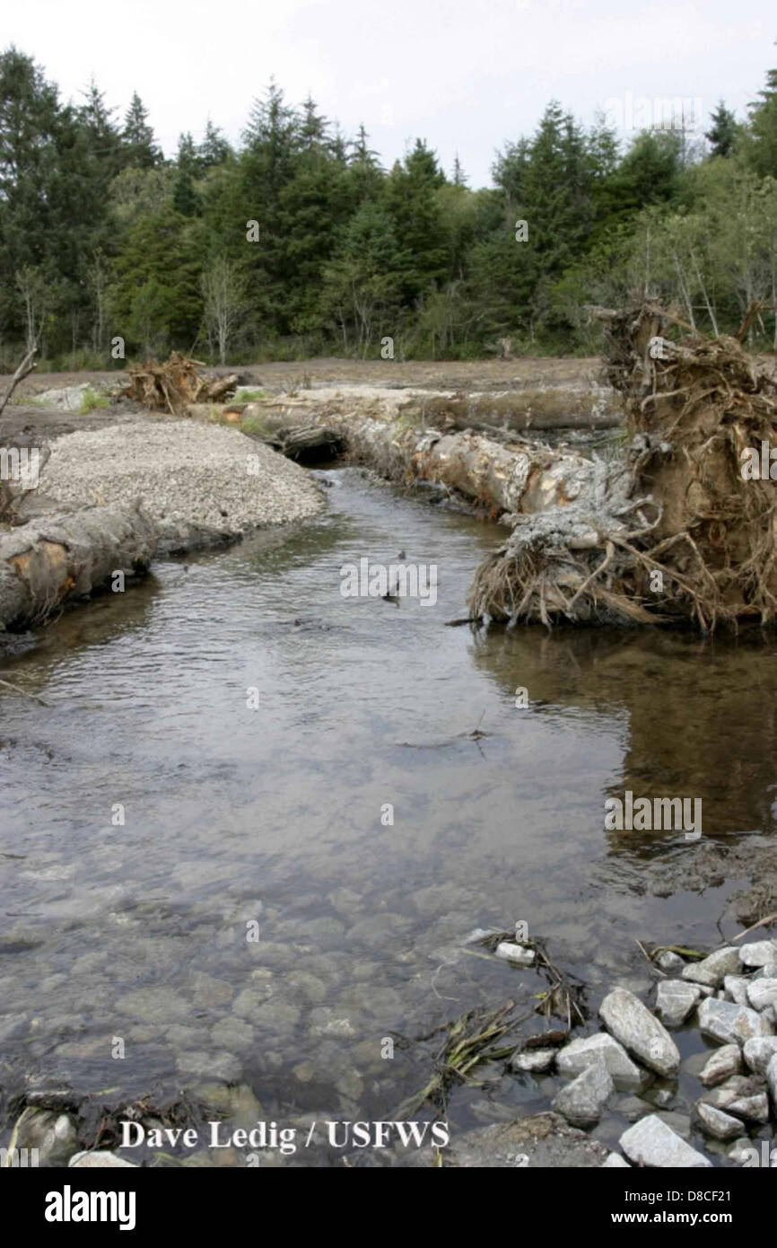 A section of a newly formed meandering river channel, showing how the ...