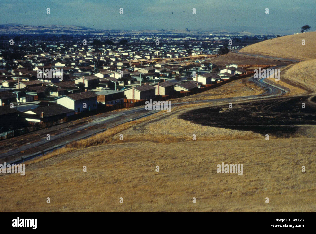 A photo taken from a hill showcasing urban development in the ...